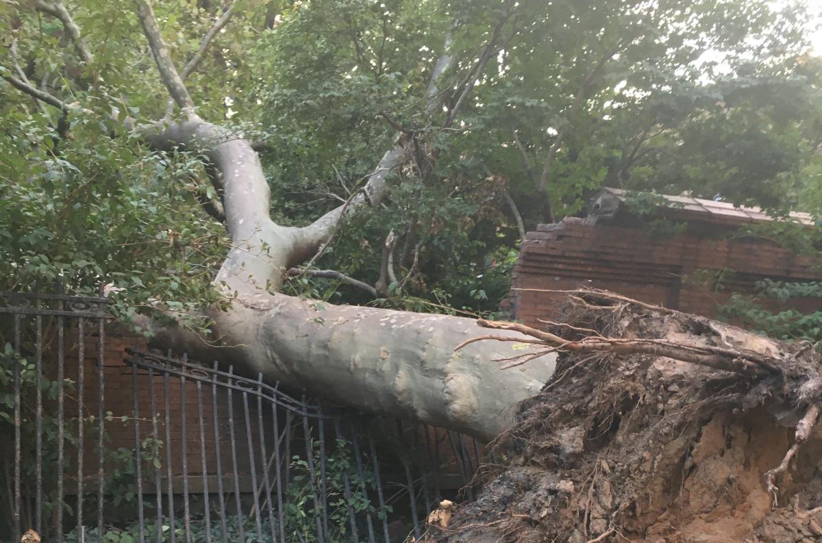 Corrie’s Weekend Reading List, Sept 25 – Corrie Hulse